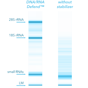 DNA/RNA Defend A Affordable Stabilization Solution By InActiv Blue